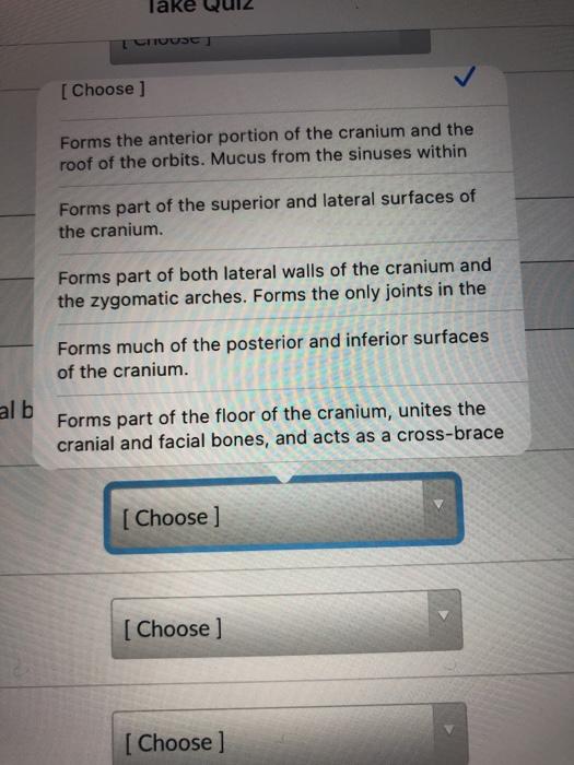 Solved 2 Figure 6-2 Endochondral Ossification Use Figure 6-2 | Chegg.com Solved 2 Figure 6-2 Endochondral Ossification Use Figure 6-2 | Chegg.com