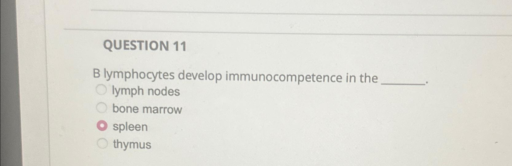 Solved QUESTION 11B lymphocytes develop immunocompetence in | Chegg.com