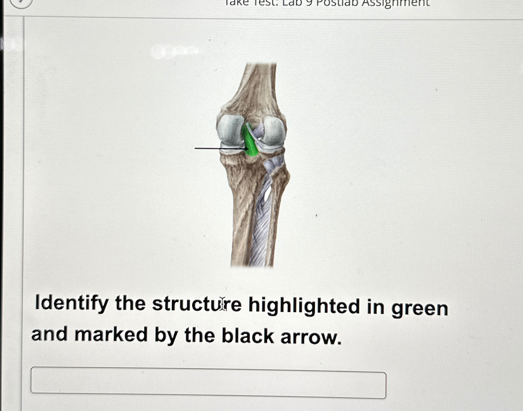 Solved Identify the structưre highlighted in green and | Chegg.com