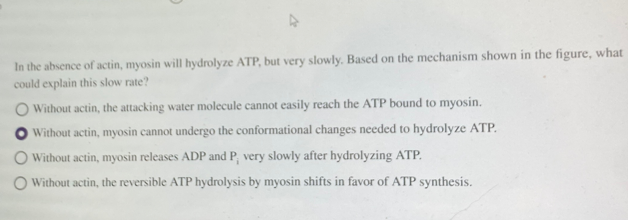 Solved In the absence of actin, myosin will hydrolyze ATP, | Chegg.com