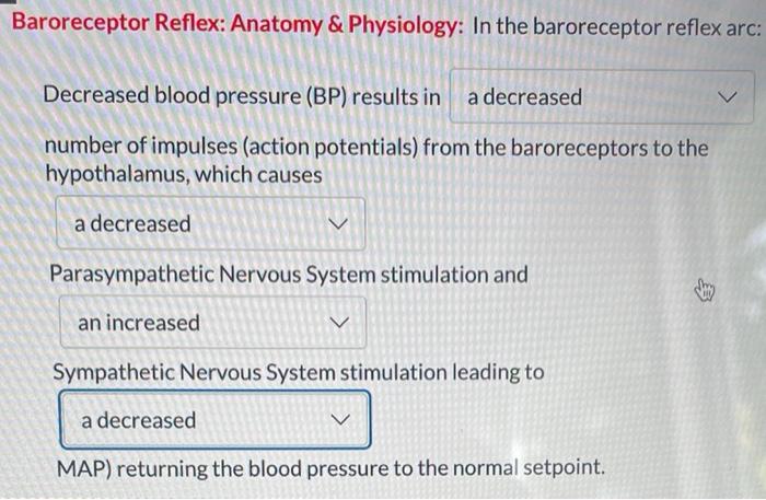 Solved Baroreceptor Reflex: Anatomy \& Physiology: In the | Chegg.com