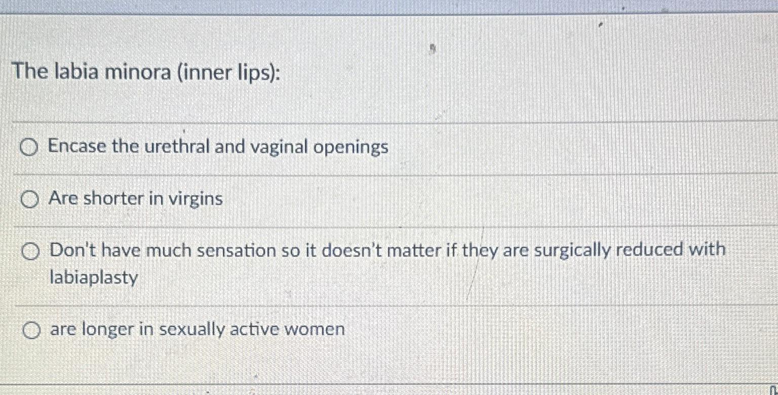 Solved The labia minora (inner lips):Encase the urethral and | Chegg.com
