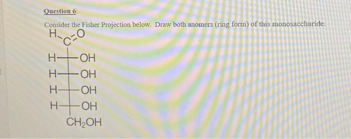 Solved 1 Question 6: Consider the Fisher Projection below. | Chegg.com