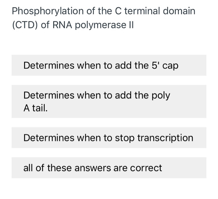 Solved Phosphorylation Of The C Terminal Domain Ctd Of Rna