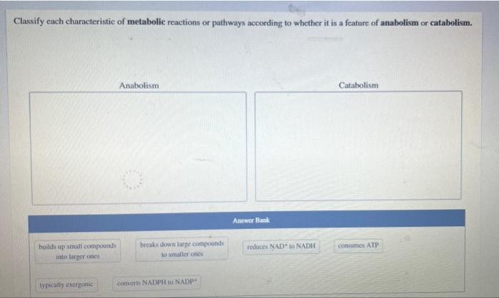 Solved Classify each characteristic of metabolic reactions | Chegg.com Solved Classify each characteristic of metabolic reactions | Chegg.com
