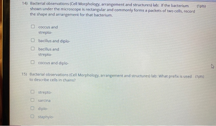 Solved 11) Observing Protozoans lab: Which protozoan | Chegg.com