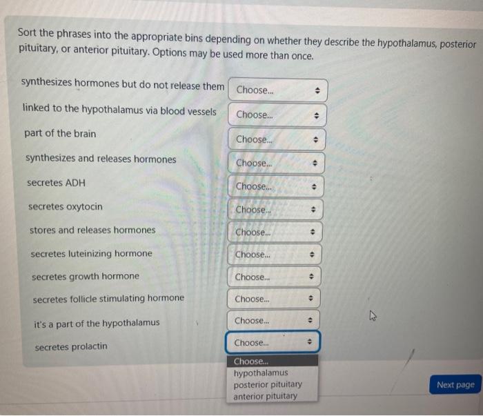 Solved Sort the phrases into the appropriate bins depending | Chegg.com