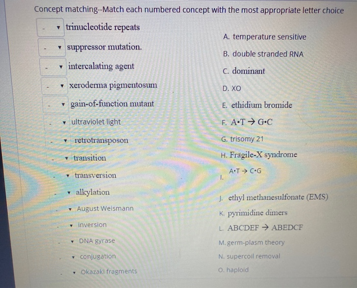 Solved Concept matching--Match each numbered concept with | Chegg.com