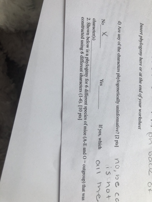 Solved a) Use the phylogeny to complete the matrix below for | Chegg.com