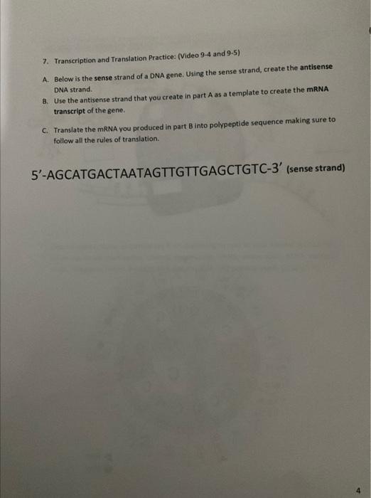 Solved 7. Transcription and Translation Practice: (Video 9-4 | Chegg.com