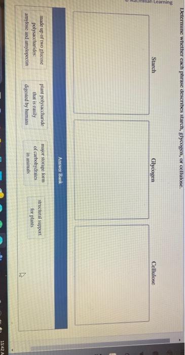 Solved Determine whether each phrase deseribes starch, | Chegg.com