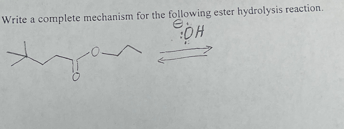 Solved Write a complete mechanism for the following ester | Chegg.com