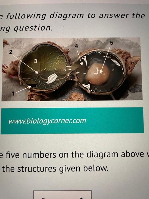 Solved Use the following diagram to answer the following | Chegg.com