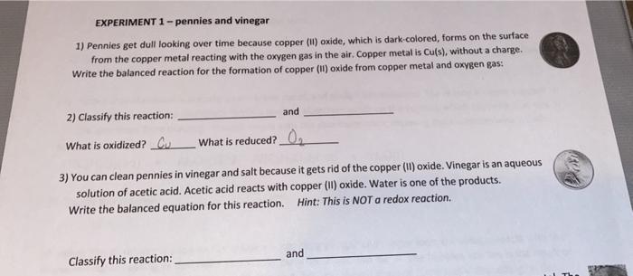 Solved EXPERIMENT 1 - pennies and vinegar 1) Pennies get | Chegg.com