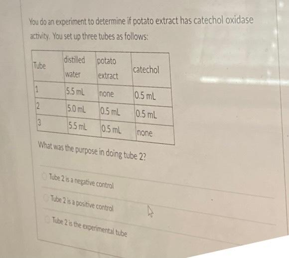 Solved You do an experiment to determine if potato extract | Chegg.com