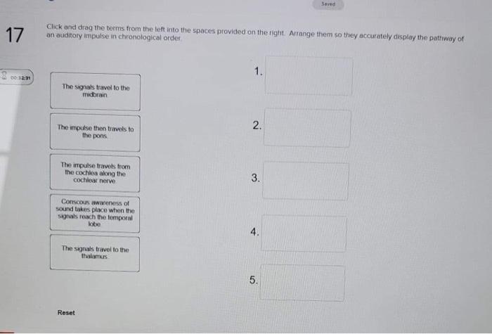 Solved Saved 17 Click and drag the terms from the left into | Chegg.com