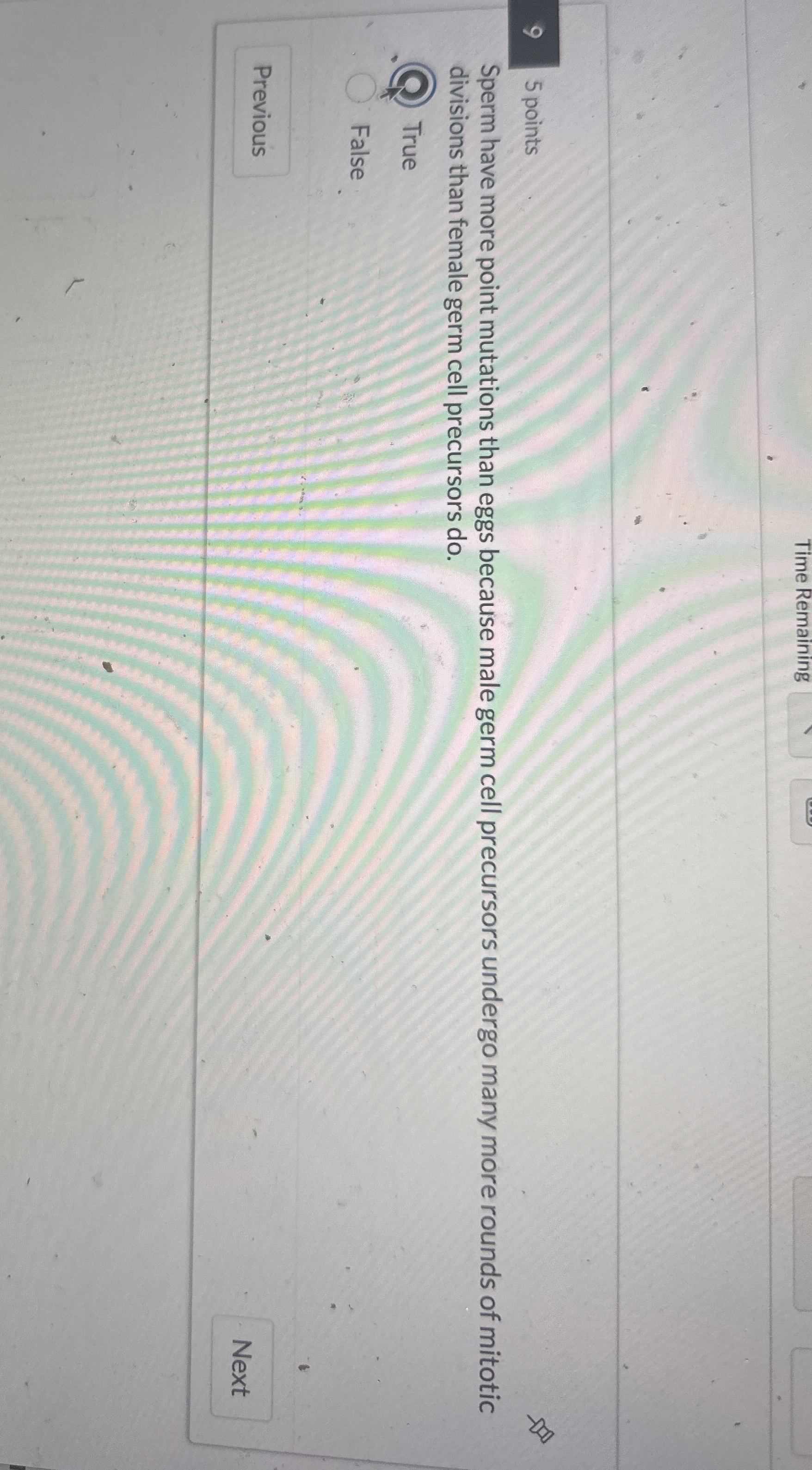 Solved Time Remaining95 ﻿pointsSperm have more point | Chegg.com