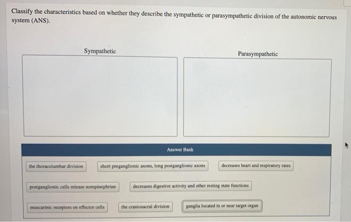 Solved Classify the characteristics based on whether they | Chegg.com