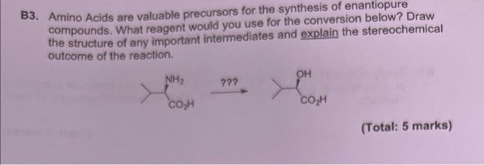 Solved B3. Amino Acids are valuable precursors for the | Chegg.com