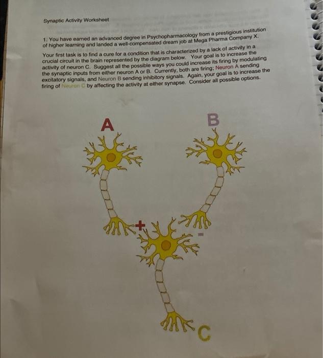 Solved Synaptic Activity Worksheet 1. You have earned an | Chegg.com