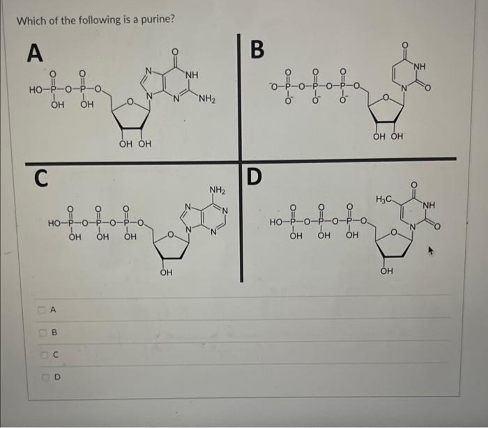 Solved Which of the following is a purine? | Chegg.com