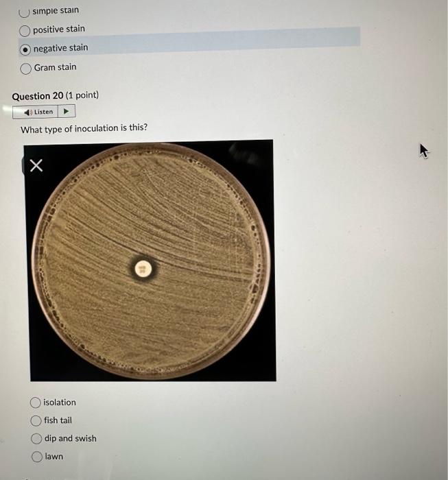 Solved slant broth plateDifferential staining.... is not | Chegg.com