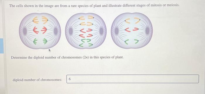 Solved The cells shown in the image are from a rare species | Chegg.com
