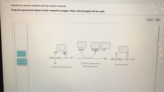 Solved Identify the reactant oxidized and the reactant | Chegg.com