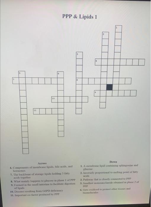 Solved PPP \& I inide 1 | Chegg.com