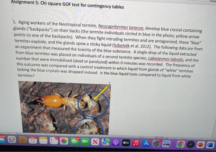 Solved 1. Aging workers of the Neotropical termite, | Chegg.com