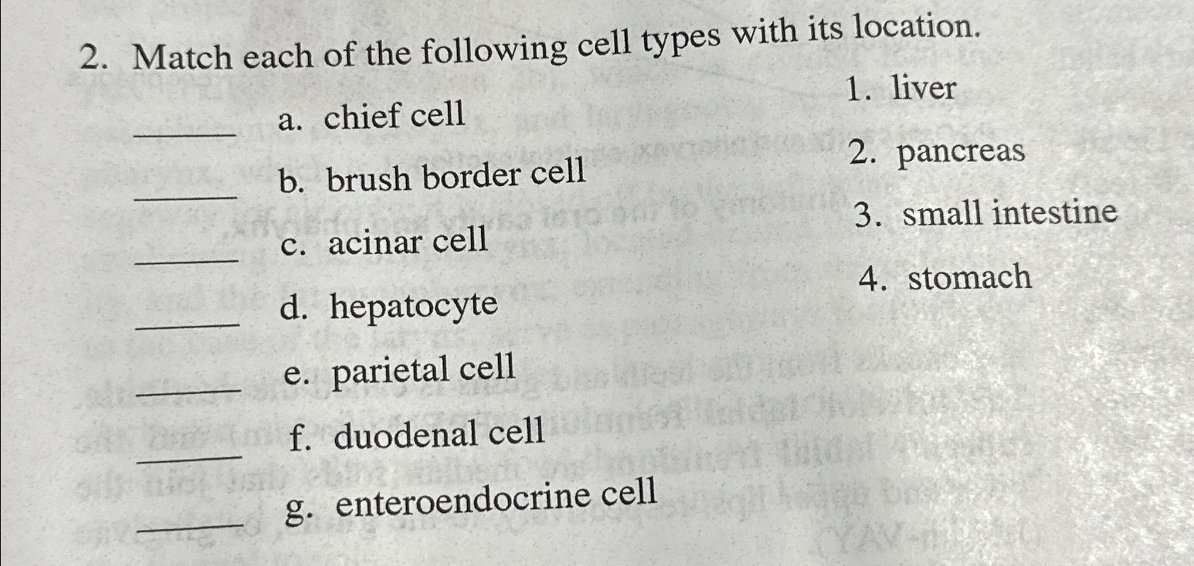 Solved Match each of the following cell types with its | Chegg.com