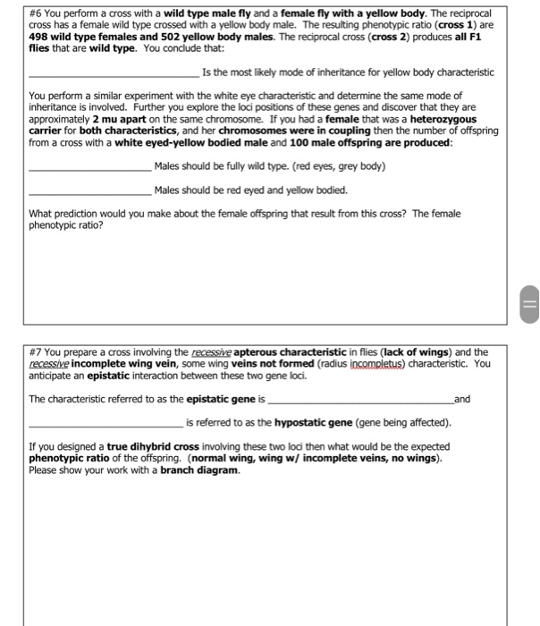 Solved #6 You perform a cross with a wild type male fly and | Chegg.com