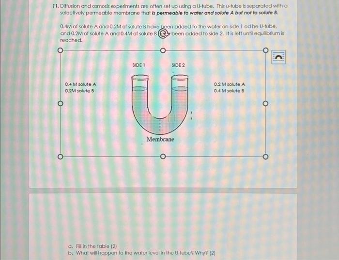 Solved 11. Diffusion and osmosis experiments are offen set | Chegg.com