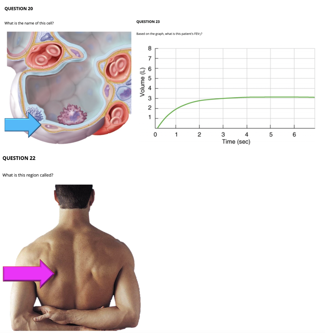 Solved help me please, thanks ! | Chegg.com