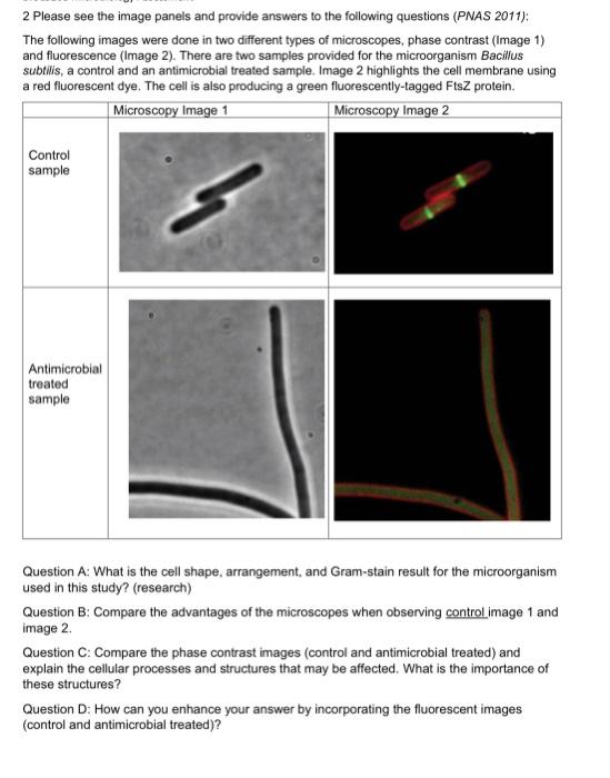 Solved 2 Please see the image panels and provide answers to | Chegg.com