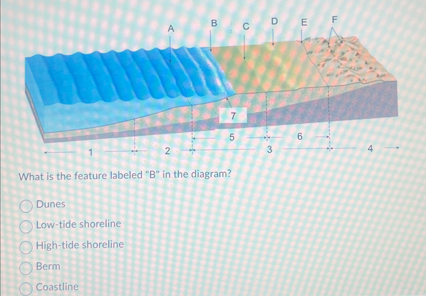 Solved What is the feature labeled " B " ﻿in the | Chegg.com
