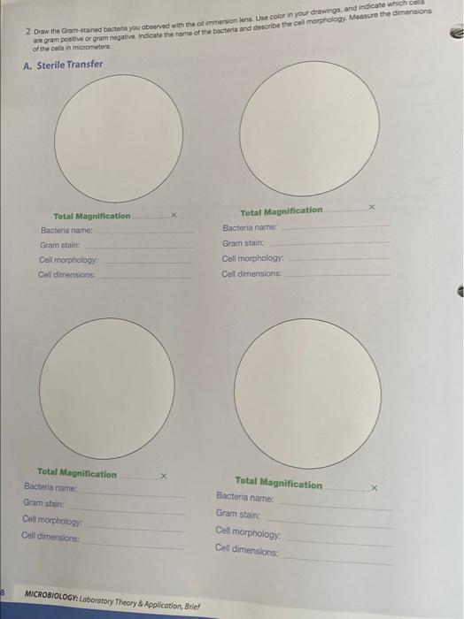 Solved 2 Draw the Gram-staned bactera you obsened with the | Chegg.com
