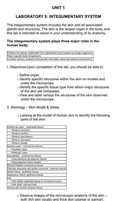 Helps regulate body temperature, UNIT 1 LABORATORY 5: | Chegg.com