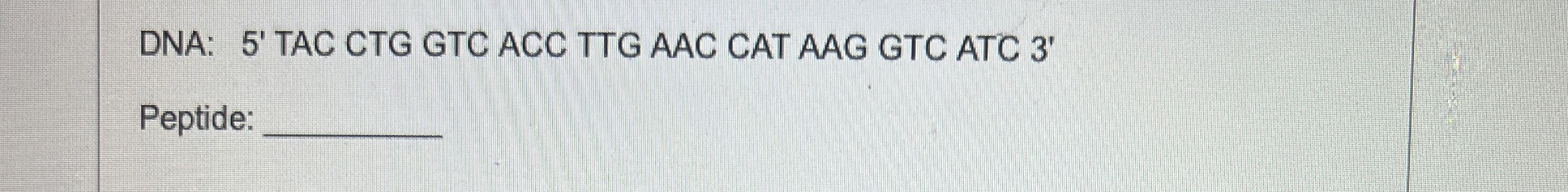 Solved DNA: 5 ' ﻿TAC CTG GTC ACC TTG AAC CAT AAG GTC ATC | Chegg.com