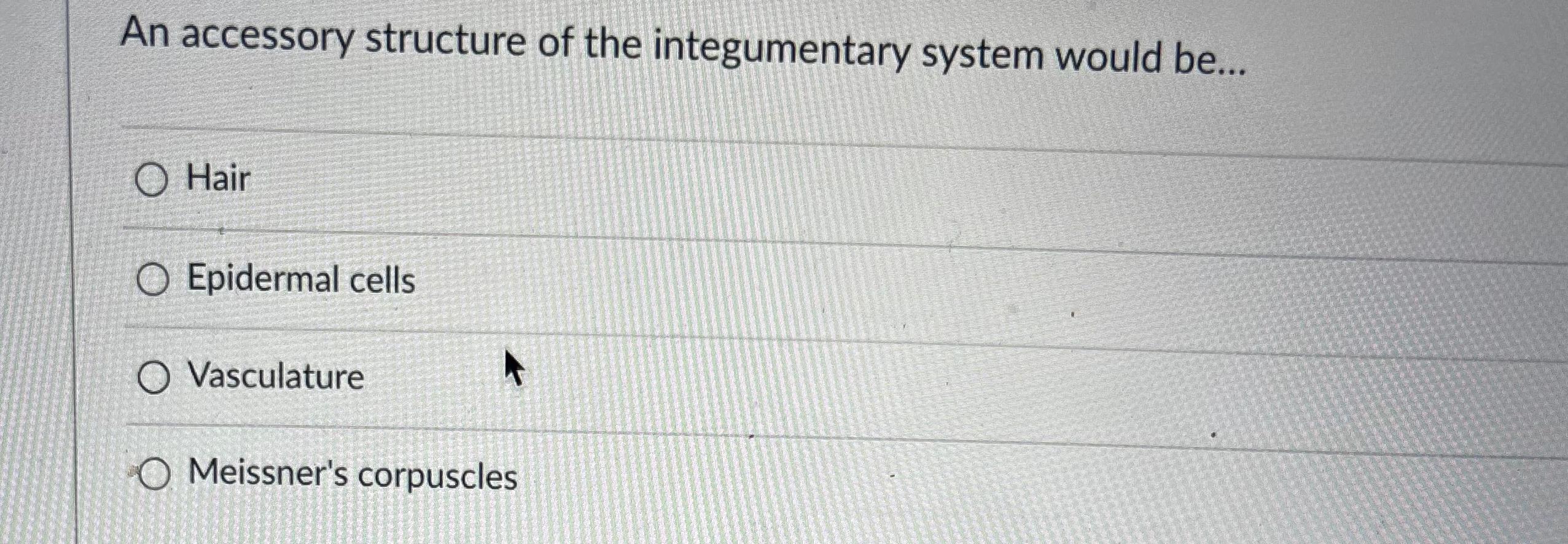 Solved An accessory structure of the integumentary system | Chegg.com