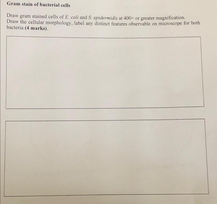 Solved Draw gram stained cells of E. coli and S. epidermis | Chegg.com