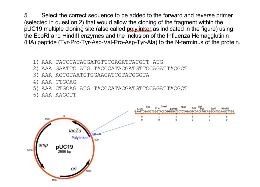 Solved F primer : ATGAGCACTGAAAGCATGATCC R primer : | Chegg.com