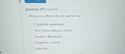 Solved Question 19 (2 ﻿points)Allolactose affects the lac | Chegg.com