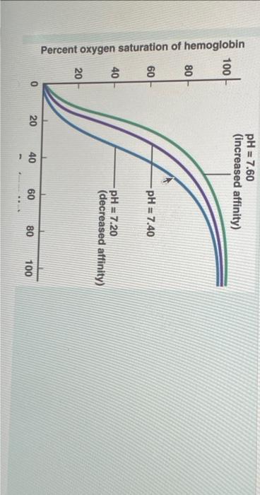 Solved Percent oxygen saturation of hemoglobinAccording to | Chegg.com
