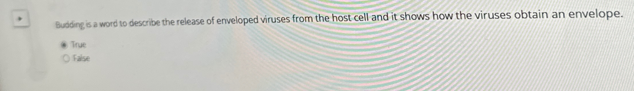 Solved Budding is a word to describe the release of | Chegg.com