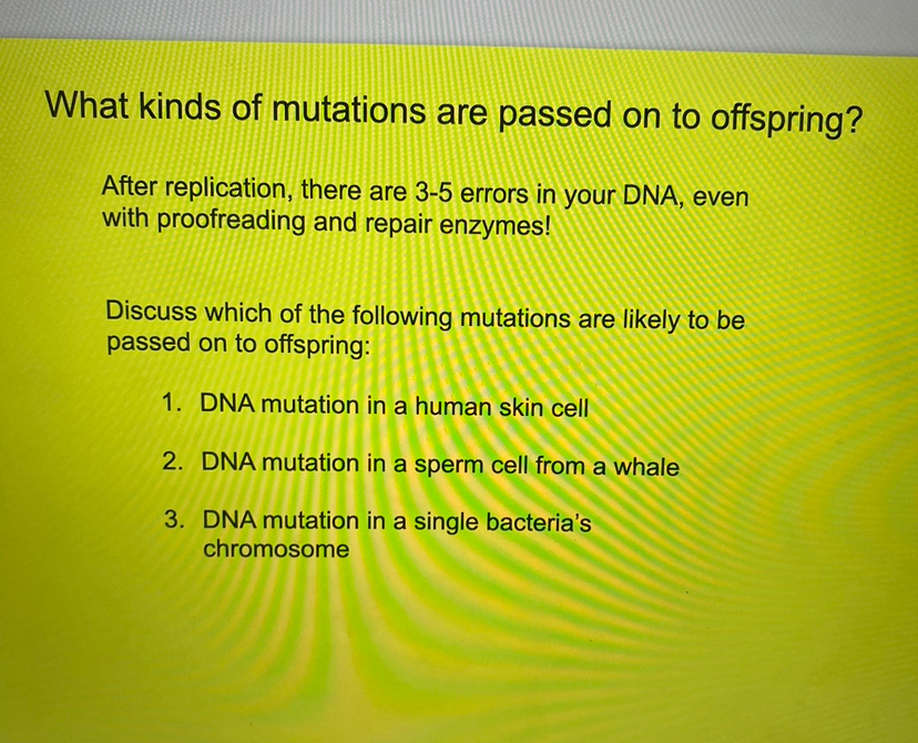 Solved What kinds of mutations are passed on to | Chegg.com