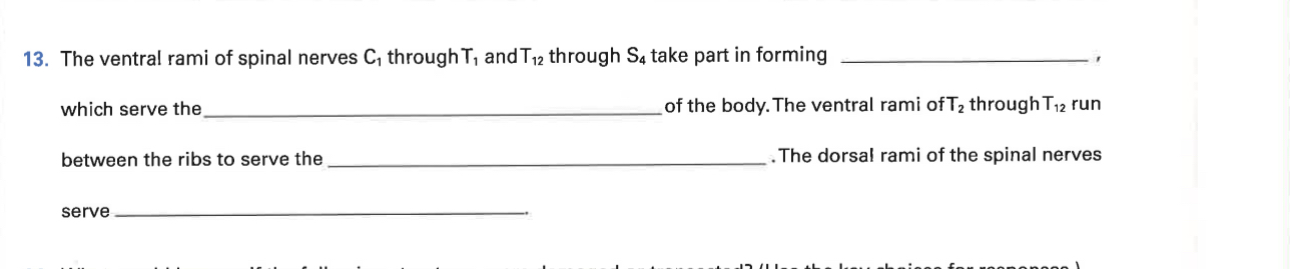 Solved The ventral rami of spinal nerves C1 ﻿through T1 ﻿and | Chegg.com