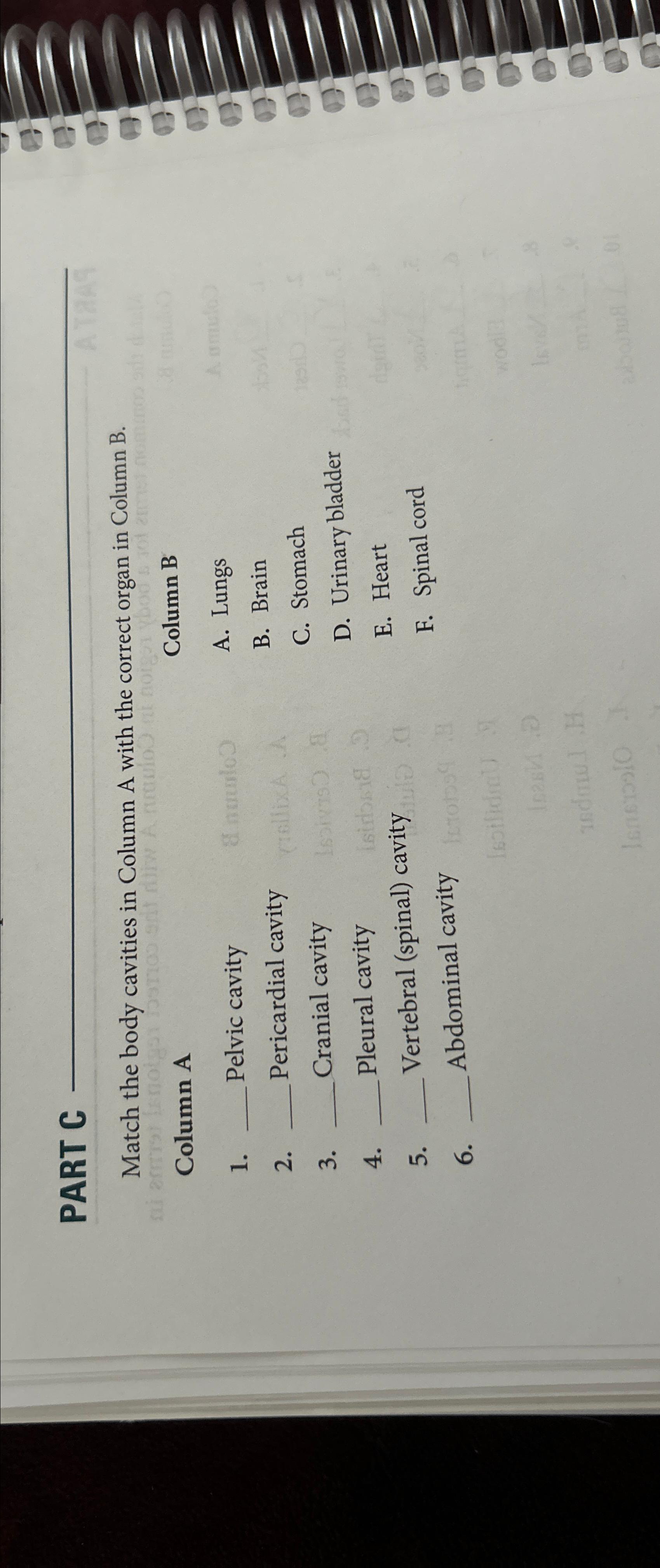Solved PART CMatch the body cavities in Column A with the | Chegg.com