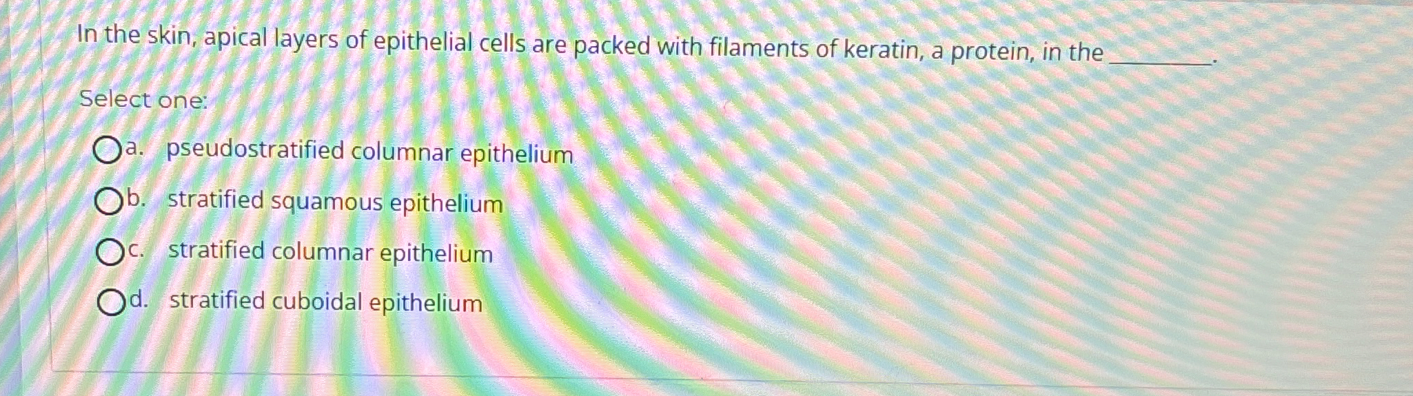 Solved In the skin, apical layers of epithelial cells are | Chegg.com