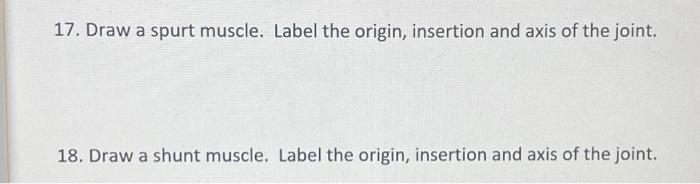 Solved 17. Draw a spurt muscle. Label the origin, insertion | Chegg.com